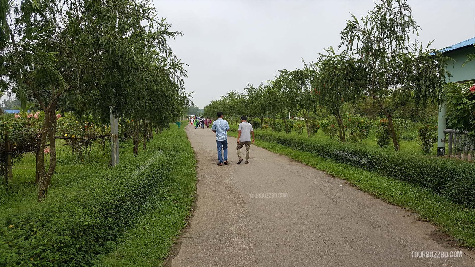 Bangabandhu Sheikh Mujib Safari Park - Tour Buzz BD