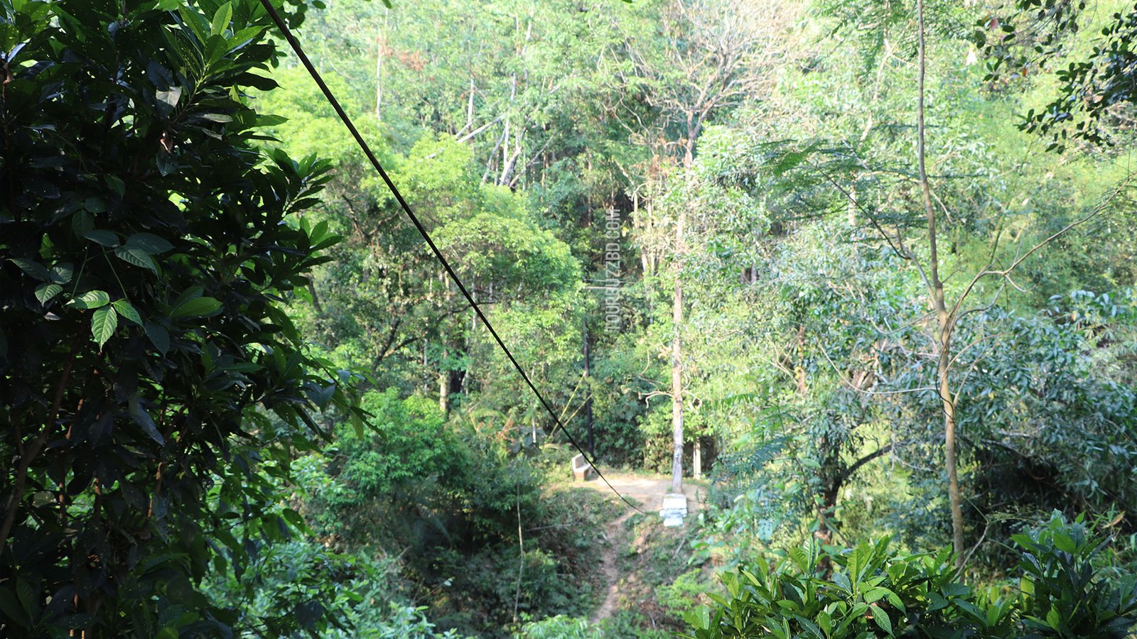 Khadimnagar National Park – Sylhet - Tour Buzz BD