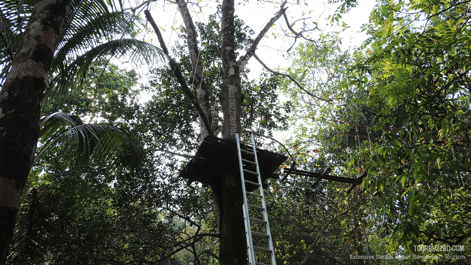 Khadimnagar National Park – Sylhet - Tour Buzz BD