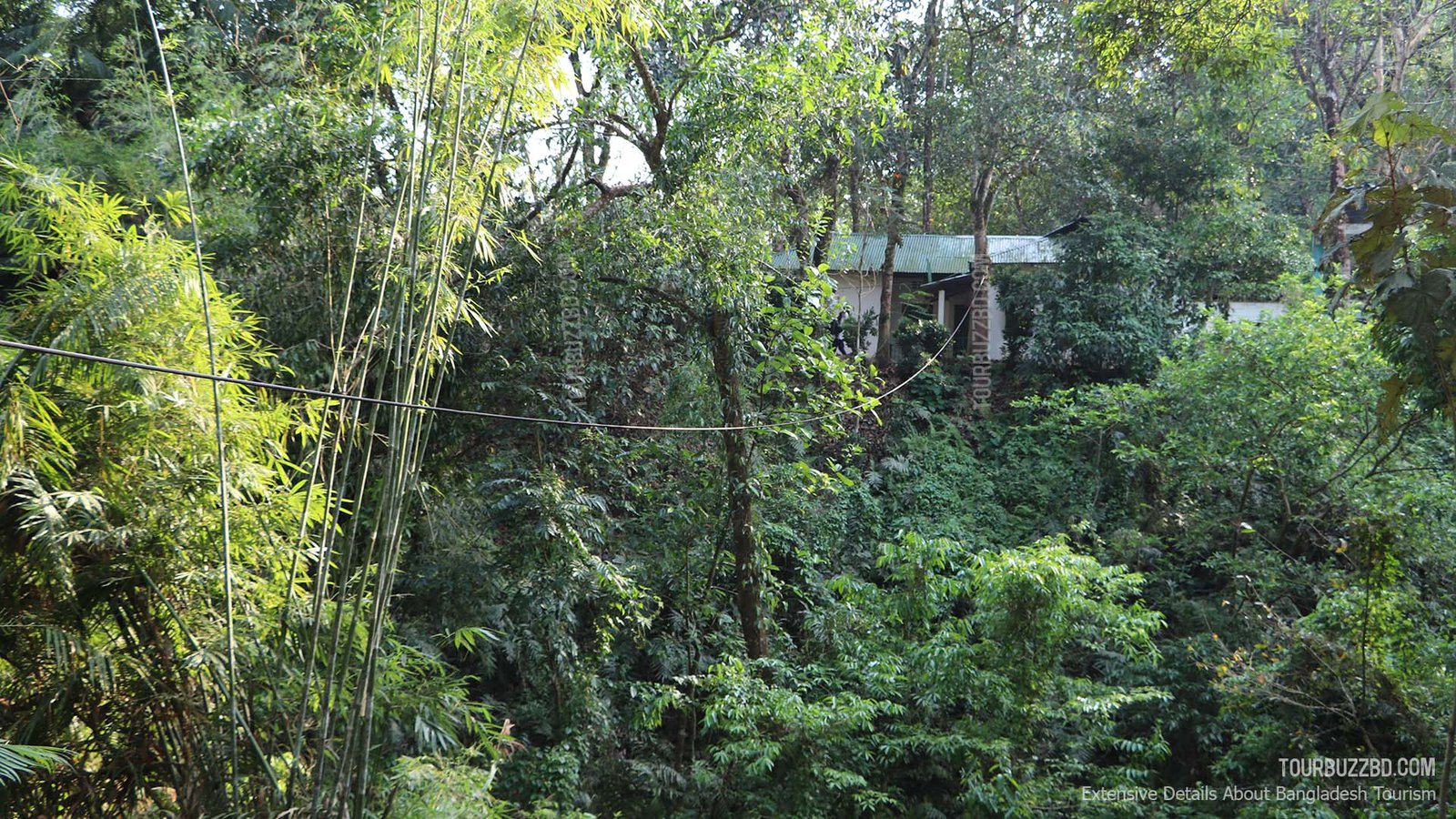 Khadimnagar National Park – Sylhet - Tour Buzz BD