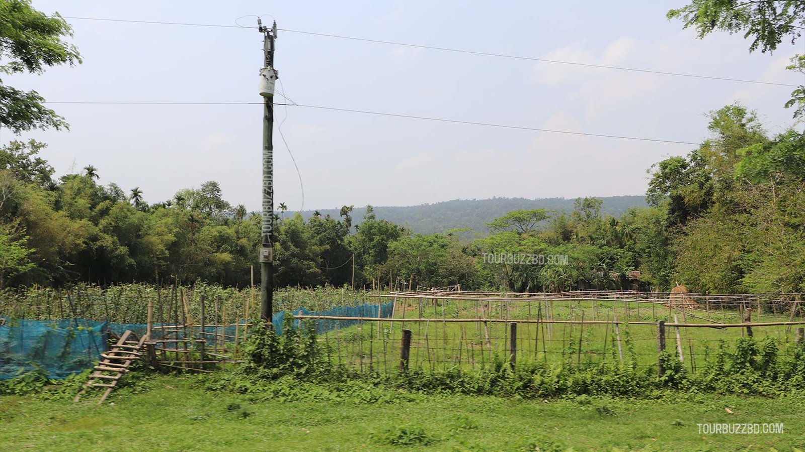 Jaflong Khasia Polli – Sylhet - Tour Buzz BD