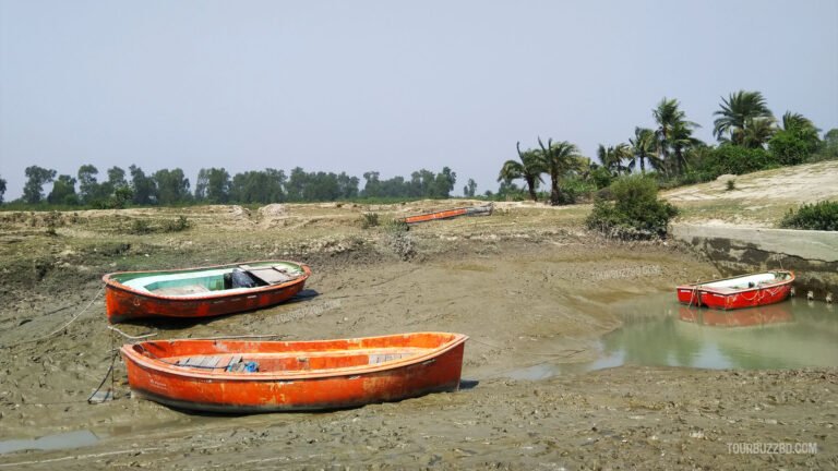 Guliakhali Sea Beach – Sitakunda - Tour Buzz BD