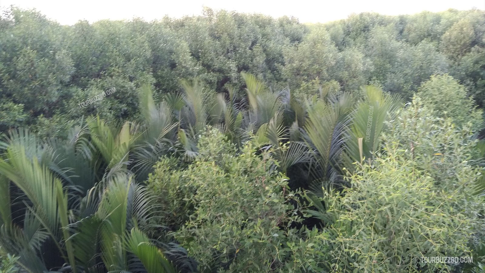 Moheshkhali Island – Cox’s Bazar - Tour Buzz BD